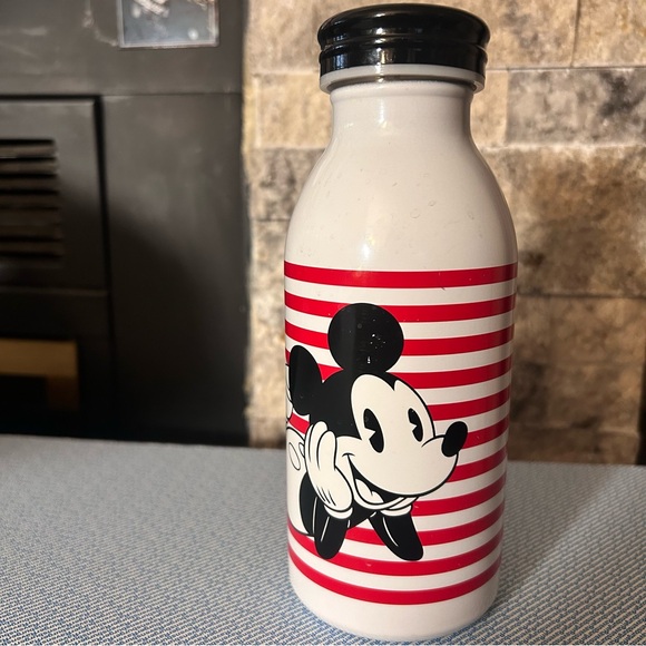Disney | Dining | Mickey Striped Insulated Stainless Water Bottle ...